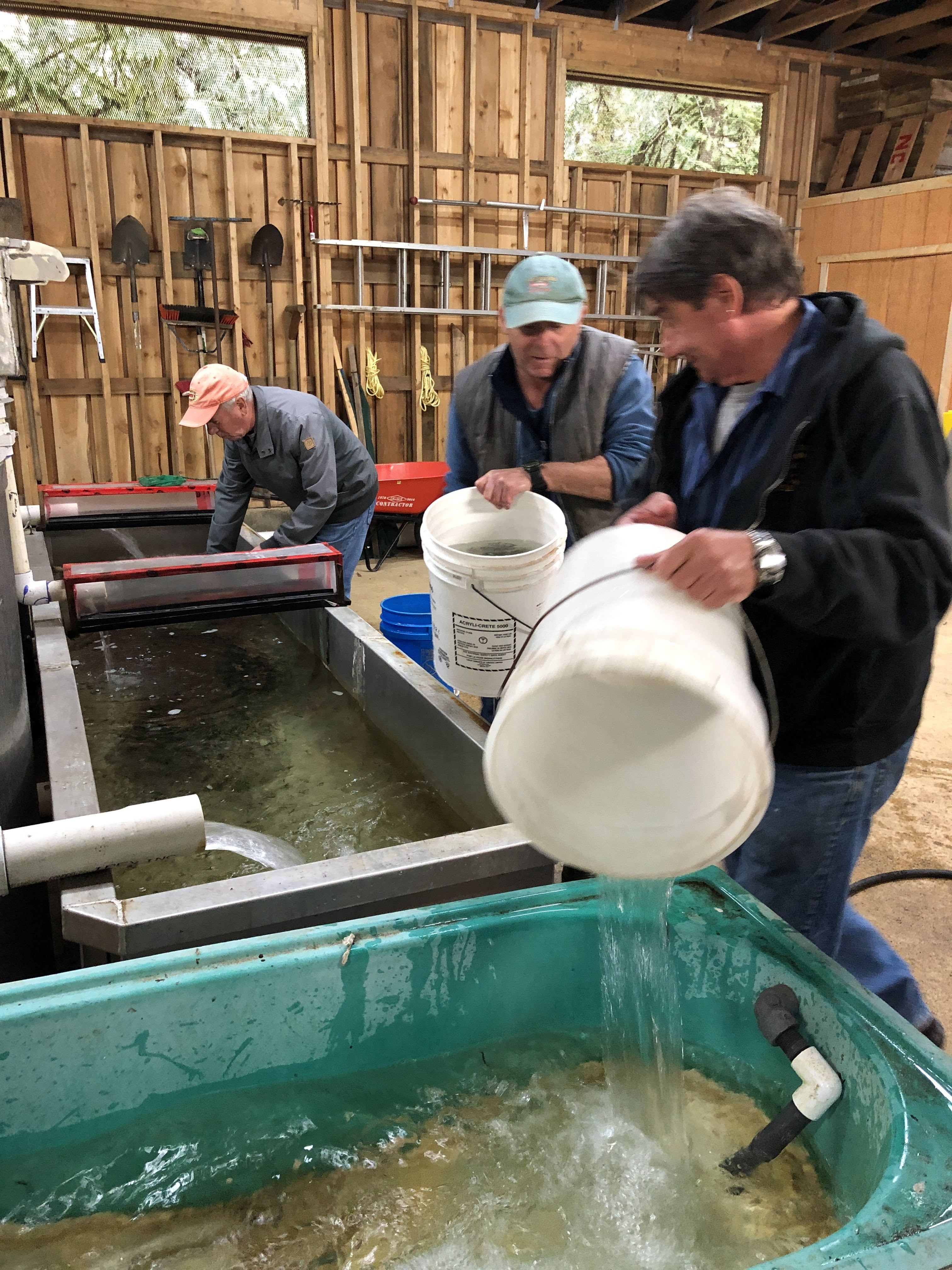 Hatchery Project - Nile Creek Enhancement Society